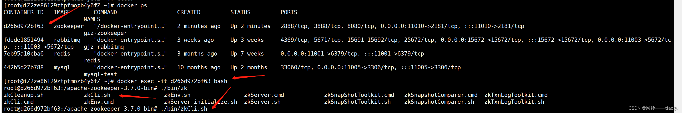 docker安装启动zookeeper_docker 启动zk-CSDN博客