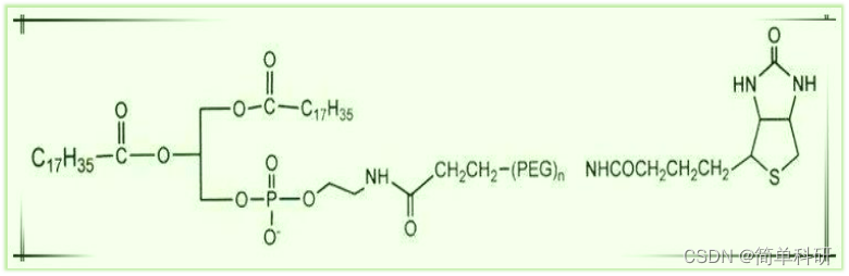 活性磷脂；1445723-73-8；DSPE-PEG-NHS，被用作靶向分子的载体-CSDN博客
