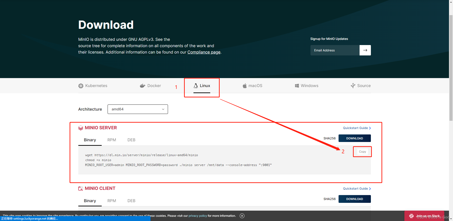 Linux部署Minio-CSDN博客