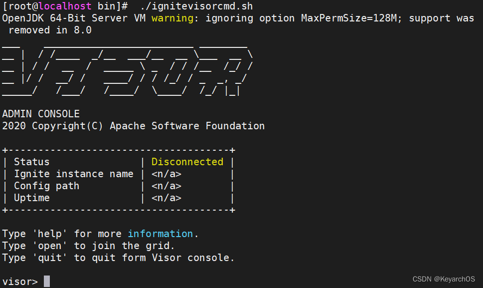在KeyarchOS上安装和配置Apache Ignite：一种高性能的内存计算平台_apache ignite sql命令-CSDN博客