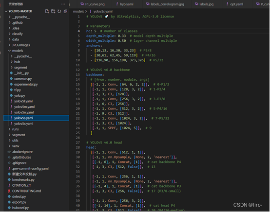 YOLOv5-master舌象分类-CSDN博客