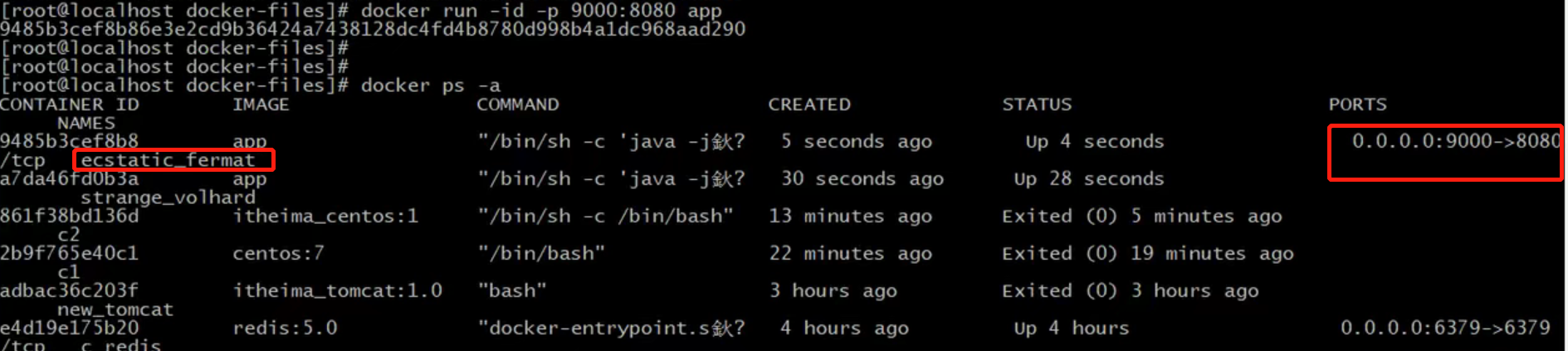 Docker容器入门_docker pull centos7_麦芽糖0219的博客-CSDN博客