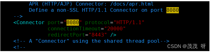 解决Apache Tomcat版本泄露，Apache-Coyote/1.1自定义_茂茂 呀的博客-CSDN博客