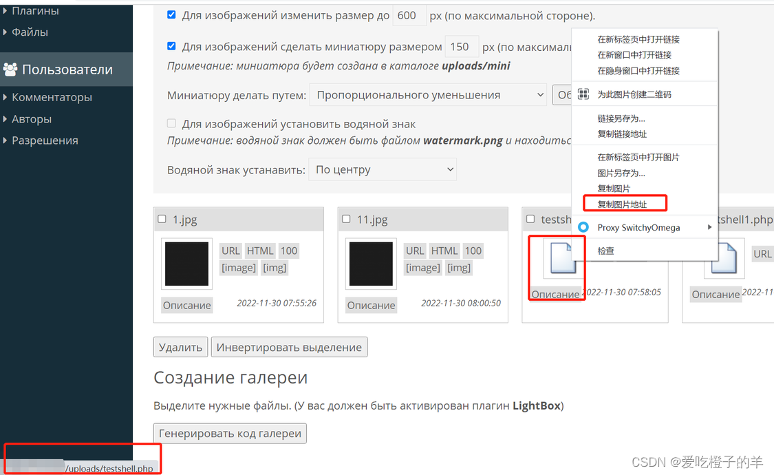 春秋云境：CVE-2022-25411-CSDN博客