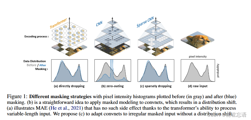 ICLR 2023 | SparK：为卷积网络设计BERT：稀疏和分层掩蔽建模_designing bert for convolutional networks: sparse -CSDN博客