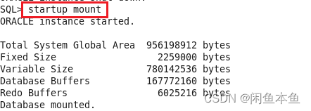 电脑异常关机导致oracle启动报错 ORA-00600_ora 00600-CSDN博客