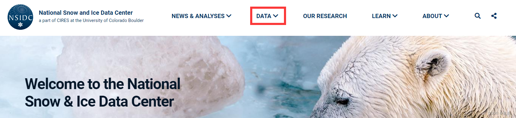 ICEsat-2数据下载教程（超详细）-CSDN博客