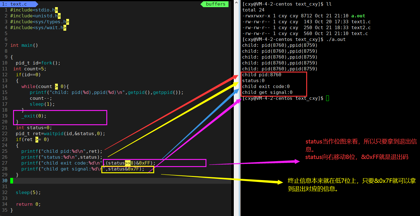 【Linux入门】：进程控制_linux unistd.h实现在哪里-CSDN博客