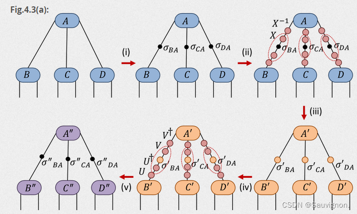 Tensor Contraction (1) : Decompositions, Gauge Freedom, Canonical Forms ...