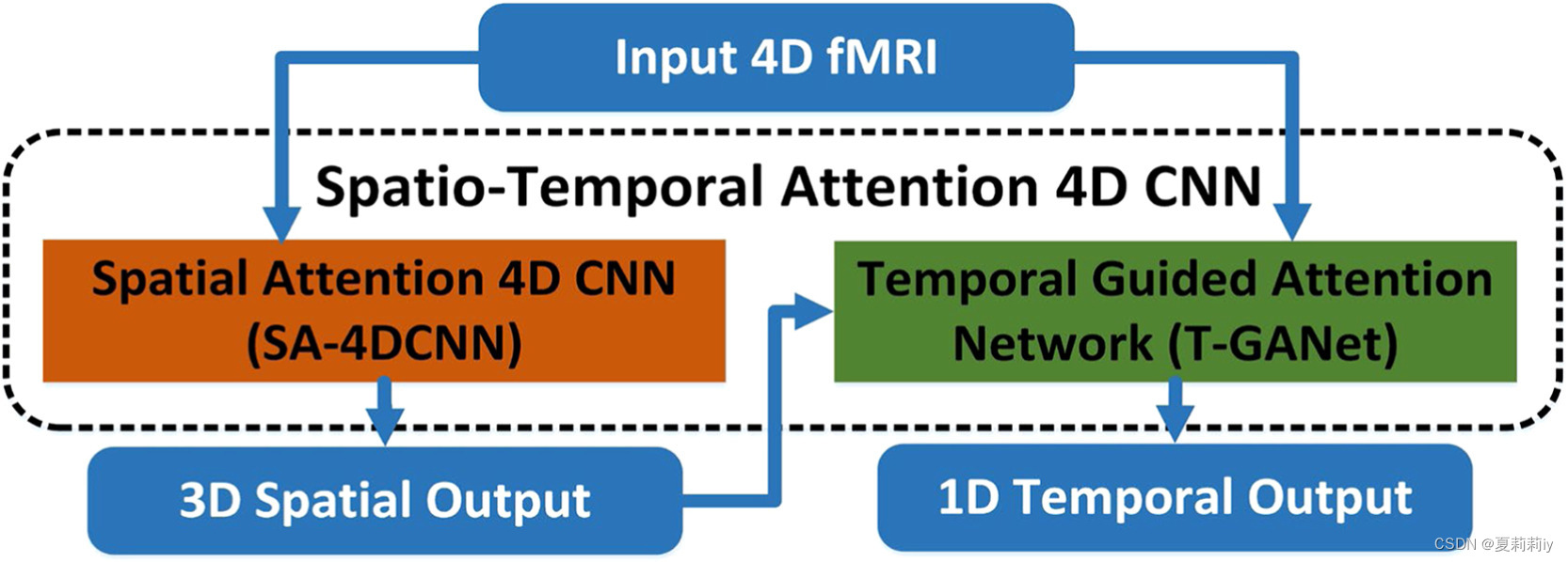 [论文精读]Characterizing functional brain networks via Spatio-Temporal ...