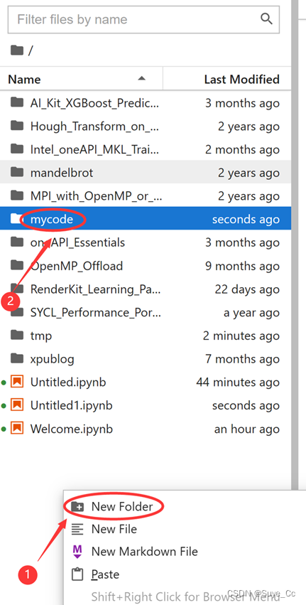 初学DPC++（1）_下载dpc++-CSDN博客