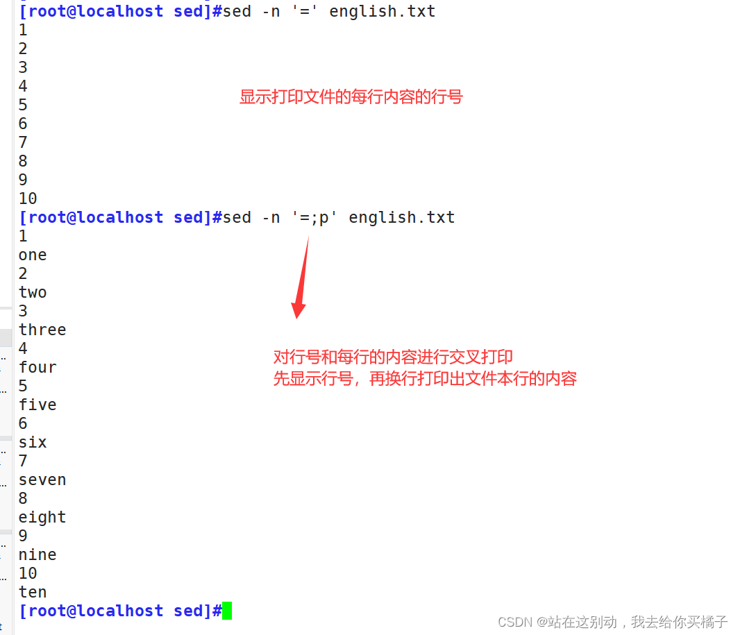 Linux文本三剑客之sed流编辑器-CSDN博客
