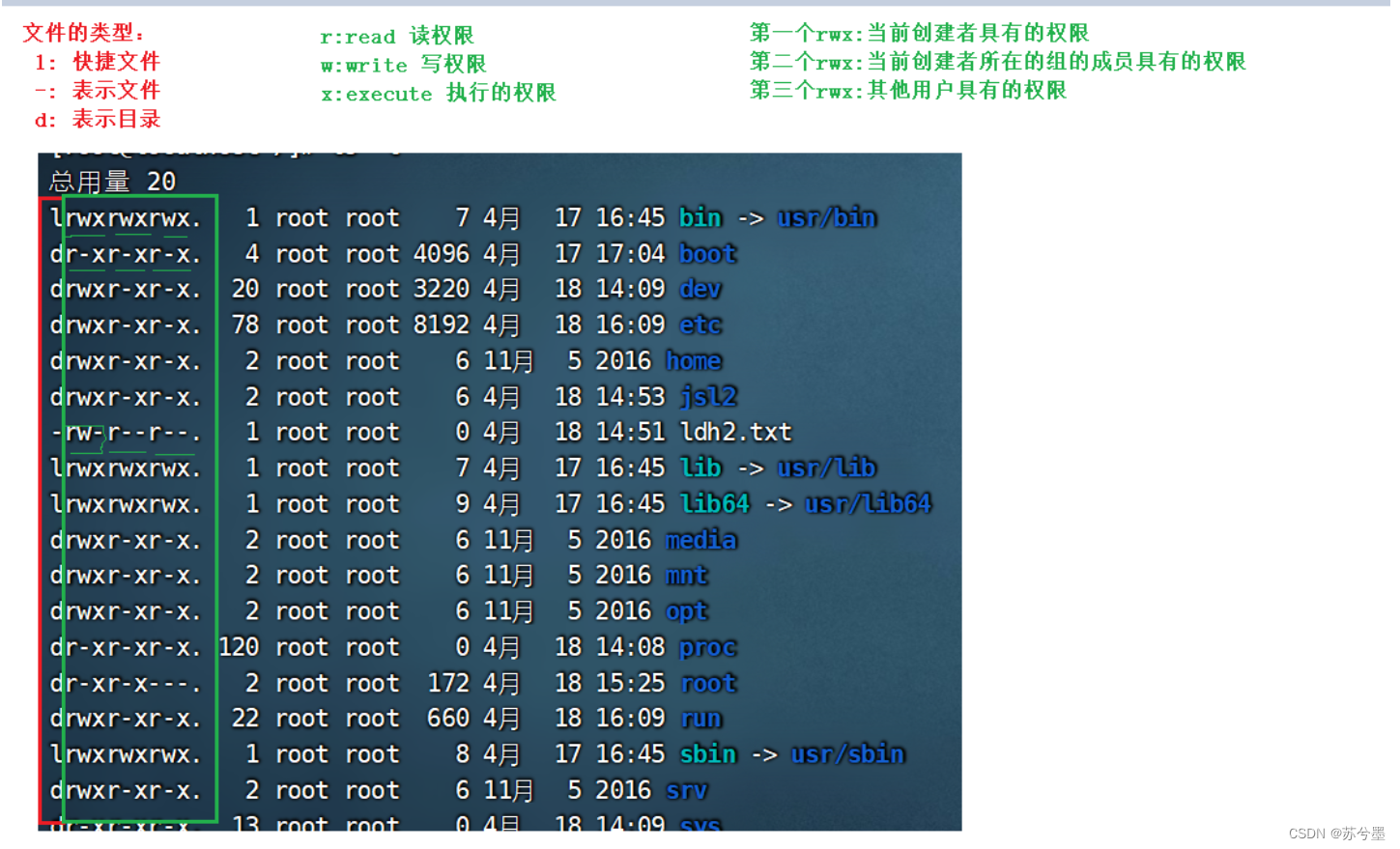 linux 目录结构 及常用命令及安装jdk tomact_linux目录结构 cd-CSDN博客