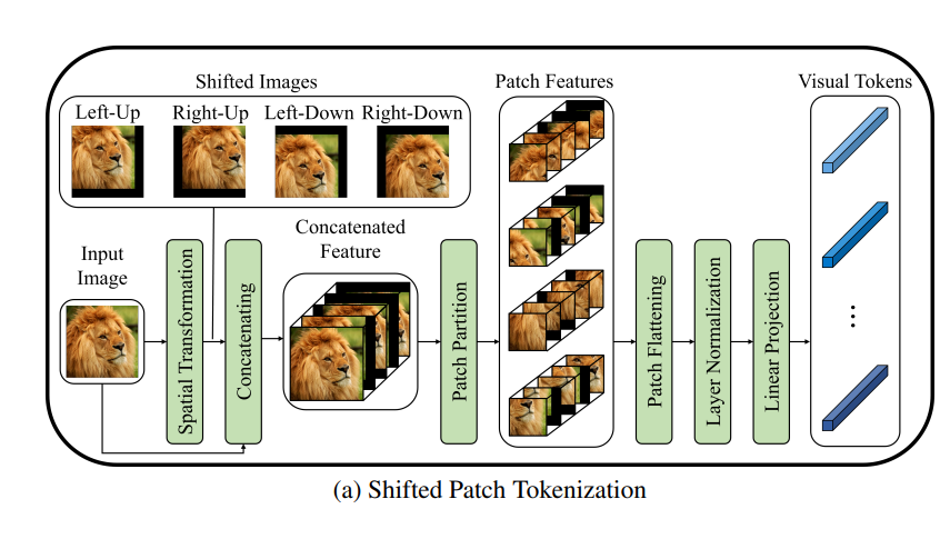 【论文笔记】Vision Transformer for Small-Size Datasets-CSDN博客