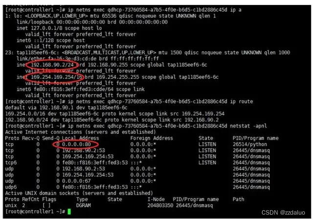 Metadata 概述_metadata配置-CSDN博客