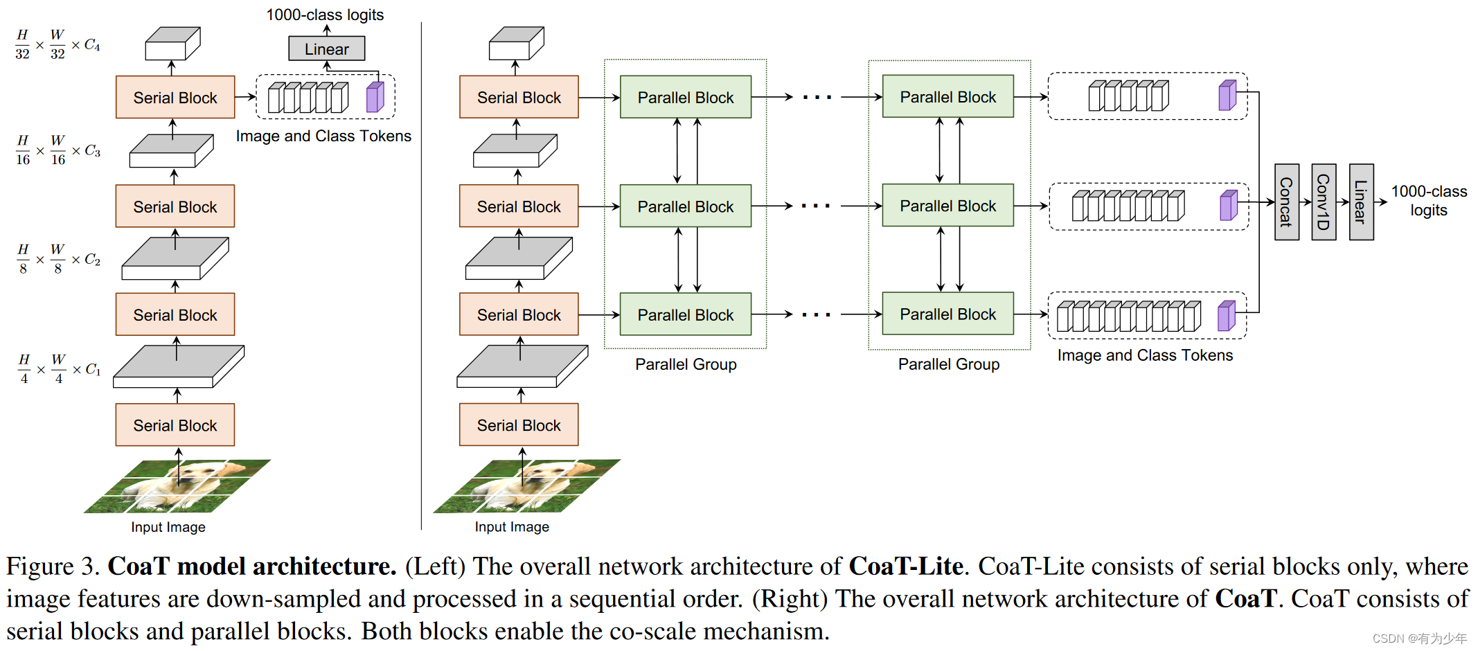 ICCV 2021 Oral | CoaT: Co-Scale Conv-Attentional Image Transformers-CSDN博客
