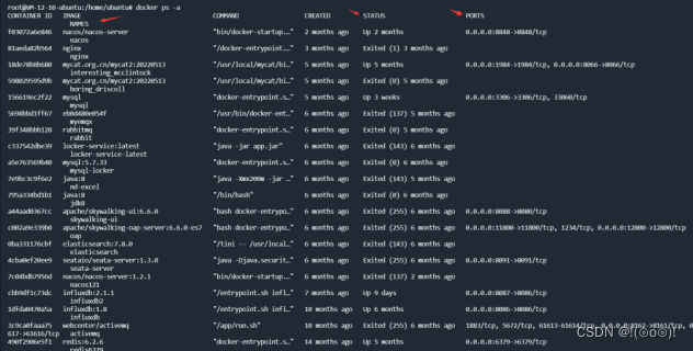 Docker运维 容器和宿主机的关系 Csdn博客