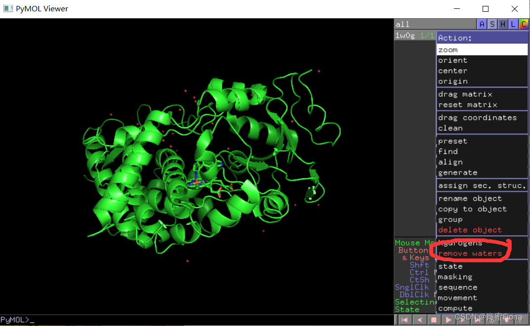 pymol安装与分子对接前预处理蛋白质_pymol处理蛋白-CSDN博客