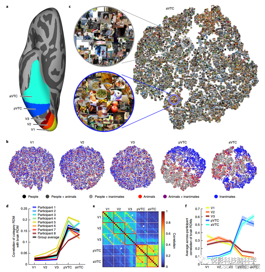 Nature neuroscience:一个庞大的连接认知神经科学和人工智能的7T fMRI数据集_nsd数据集下载-CSDN博客