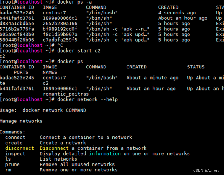 Docker之网络配置 Docker Run使用主机网络 Aur Ora的博客 Csdn博客