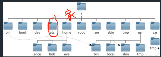 Linux根目录的文件和作用，简洁速记，bin,boot,root,etc,var,dev,Run等_根目录var-CSDN博客