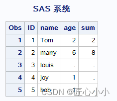 SAS 对单变量求和汇总（请问sum+age与sum=sum+age等效吗）_sas sum-CSDN博客