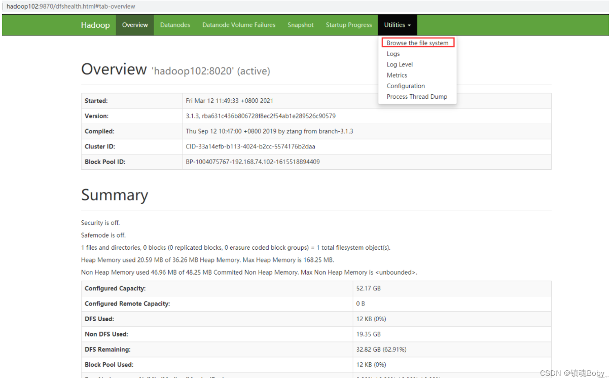 30-34-hadoop-集群配置（入门）_hadoop集群配置分发-CSDN博客