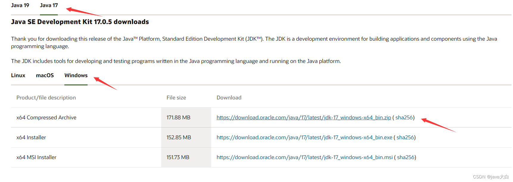 关于jdk17在window系统中的配置过程（超详细）_windows安装jdk17设置classpath-CSDN博客