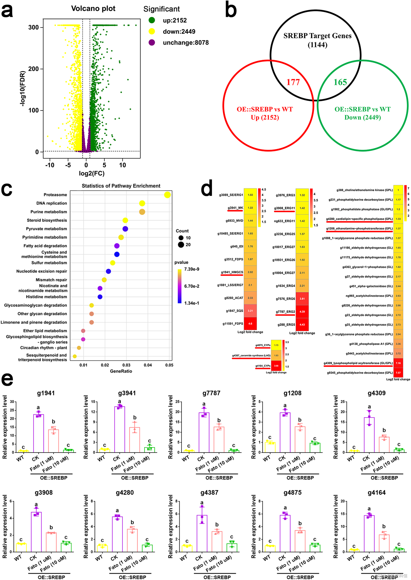 DAP-seq技术在bHLH-zip转录因子SREBP调控灵芝中三萜类化合物和脂质代谢研究中的应用；2023年发表Communications Biology文章_communications ...