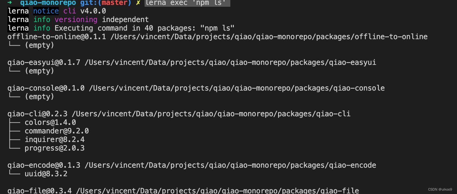 一文学会用Lerna管理多个npm包_lerna version-CSDN博客