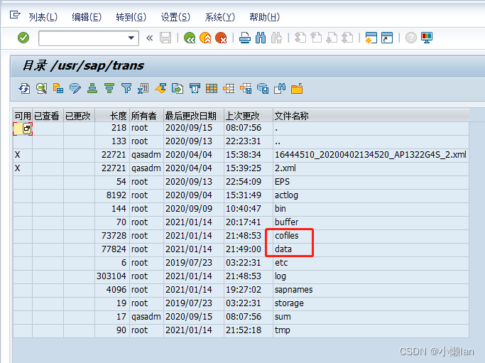 SAP请求_sap stms 原始对象不能替代-CSDN博客