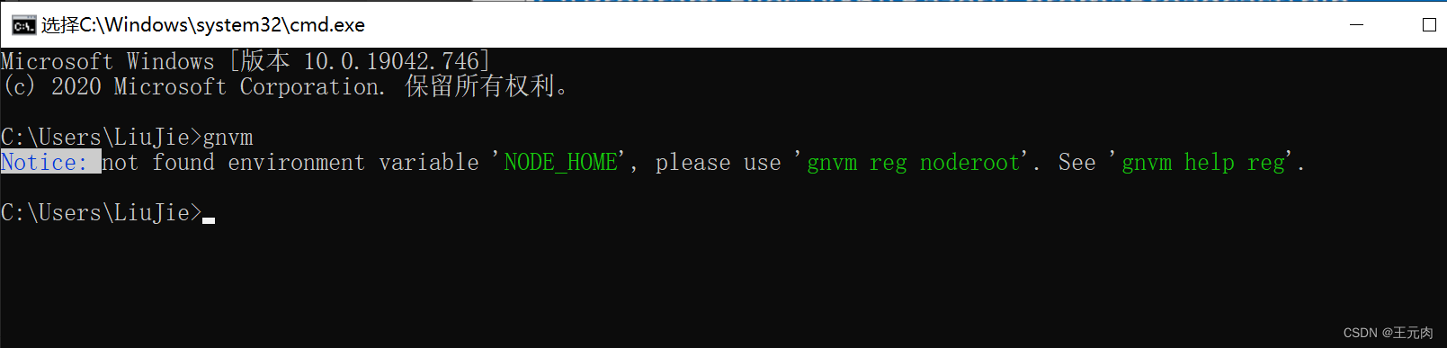 使用gnvm来管理node和npm版本 Csdn博客