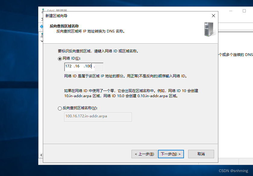 Windows server 2019 配置 DNS_windows server 2019配置dns-CSDN博客