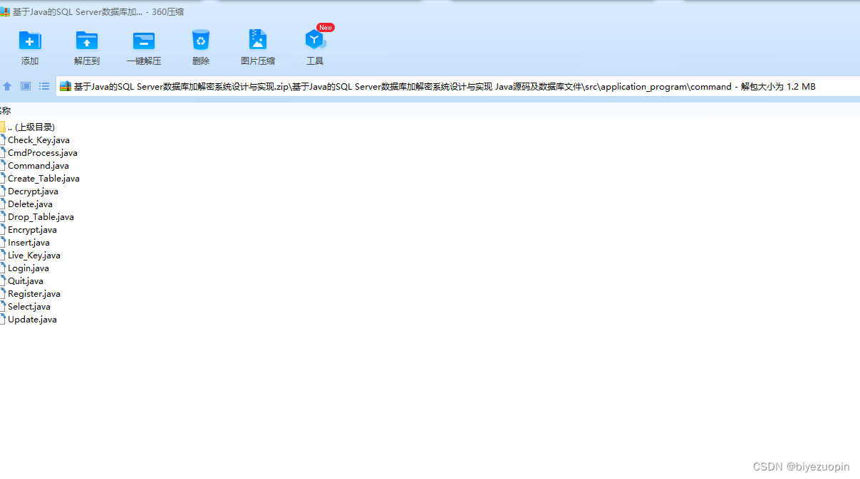 基于java的sql Server数据库加解密系统设计与实现数据库字段加密 数据分析 Csdn博客 
