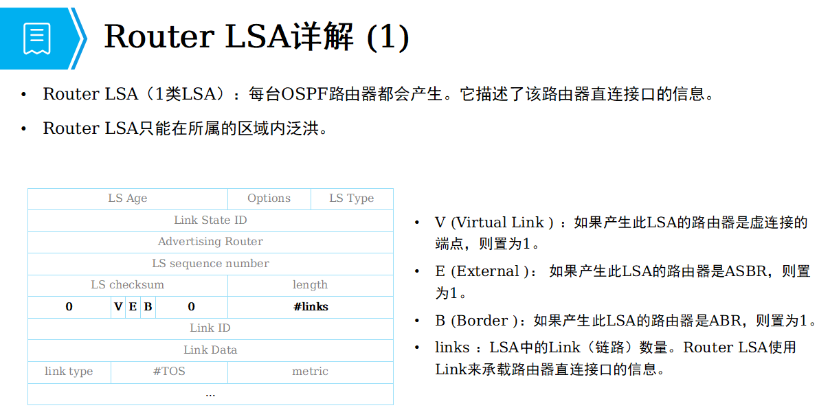 【ospf路由计算（一类LSA-router、二类LSA-Network、三类LSA-sum-Net）】-20211228-30-CSDN博客