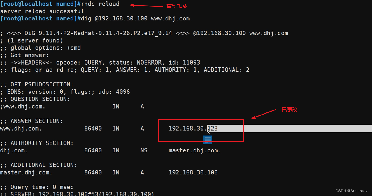 Linux：dns域名解析服务 Csdn博客