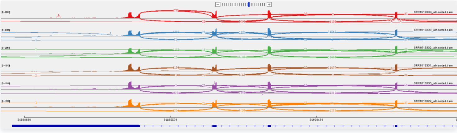 可变剪接分析流程（rMATS）-CSDN博客