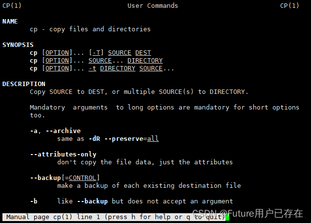 Linux基础——cp命令_linux cp-CSDN博客