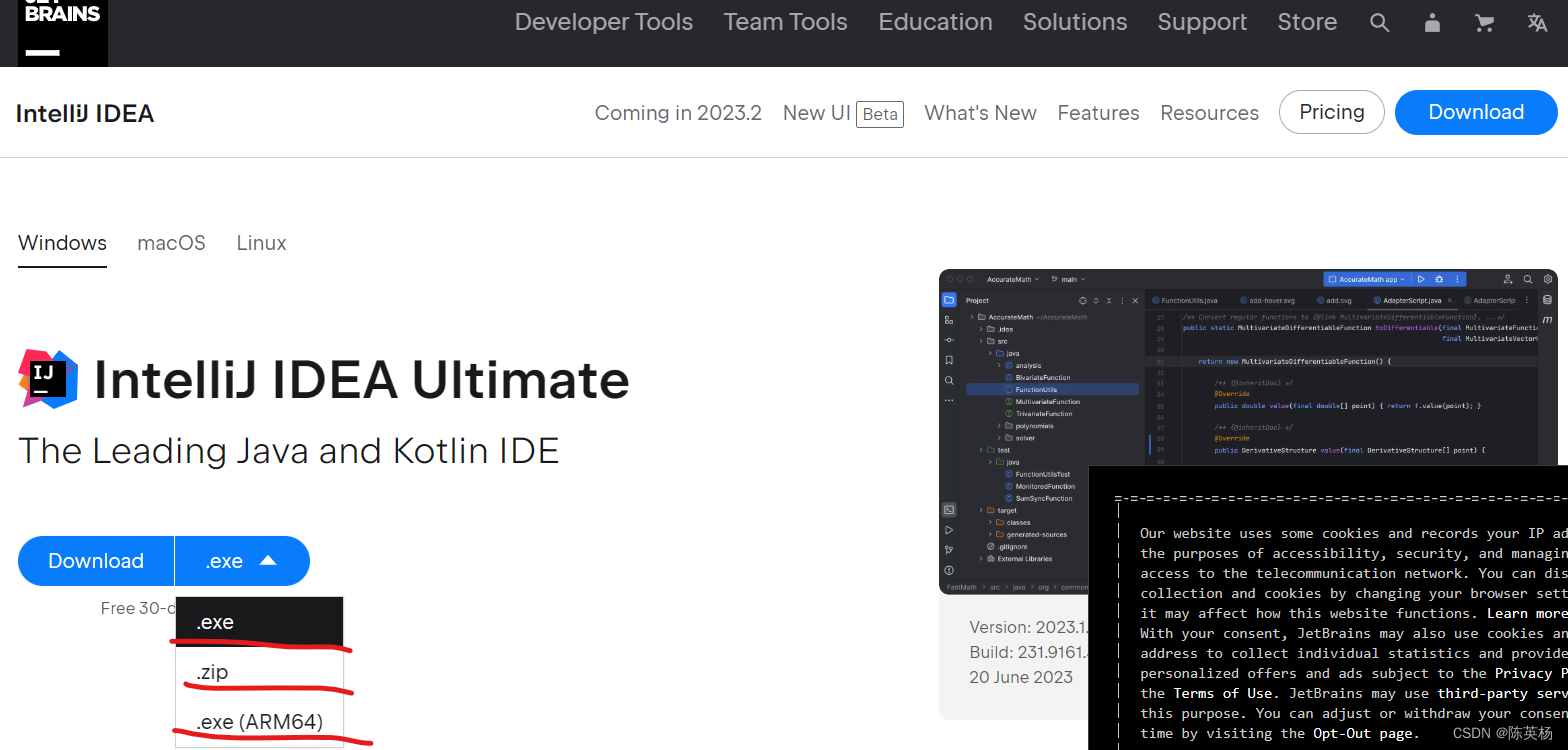 【idea完整版下载安装激活解析】_3.jetbra.in-CSDN博客