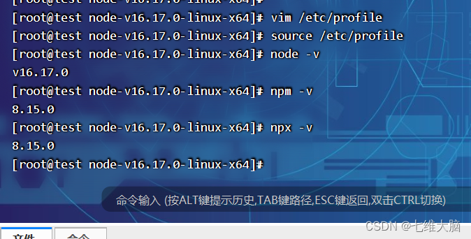 Nodejs安装和环境配置 Linux（2024）linux Nodejs安装及环境配置 Csdn博客