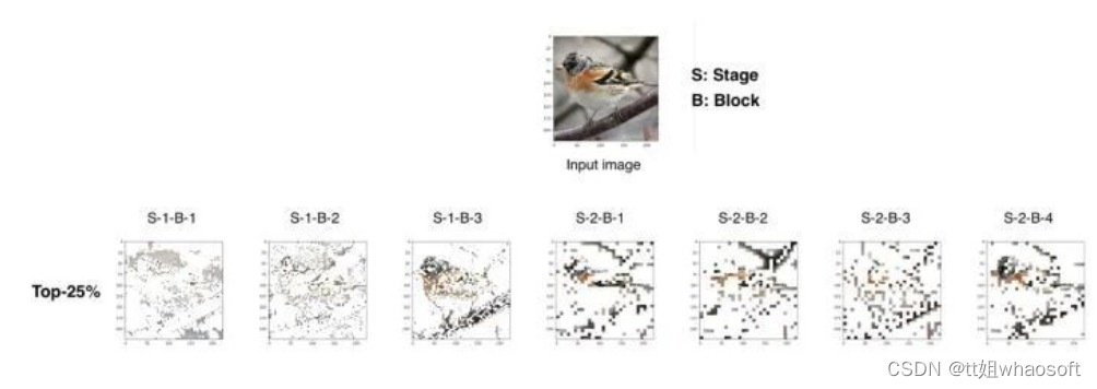 Transformer合集1_transformer inference speed-CSDN博客