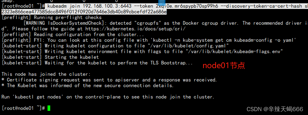 【云原生之k8s】Kubeadm搭建K8S_kubeadm imagerepository-CSDN博客