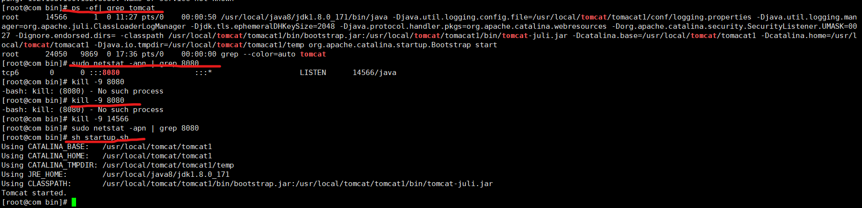 Linxu启动tomcat成功 本地访问404报错解决方案_linux已经启东tomcat,postman报错404-CSDN博客