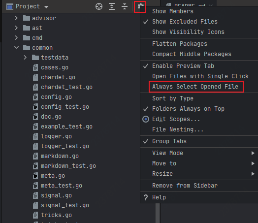 IDEA编辑器打开文件时左侧Project面板自动定位到当前文件_idea select opened file-CSDN博客