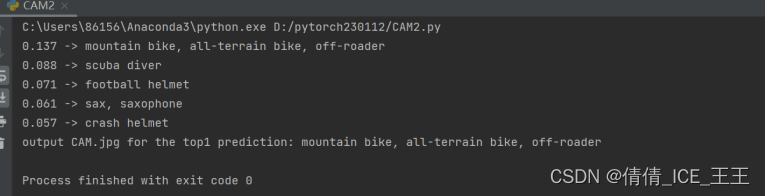 基于pytorch的CAM代码单张图片实战（超详细版，修改部分已经详细标出）_cam图代码-CSDN博客