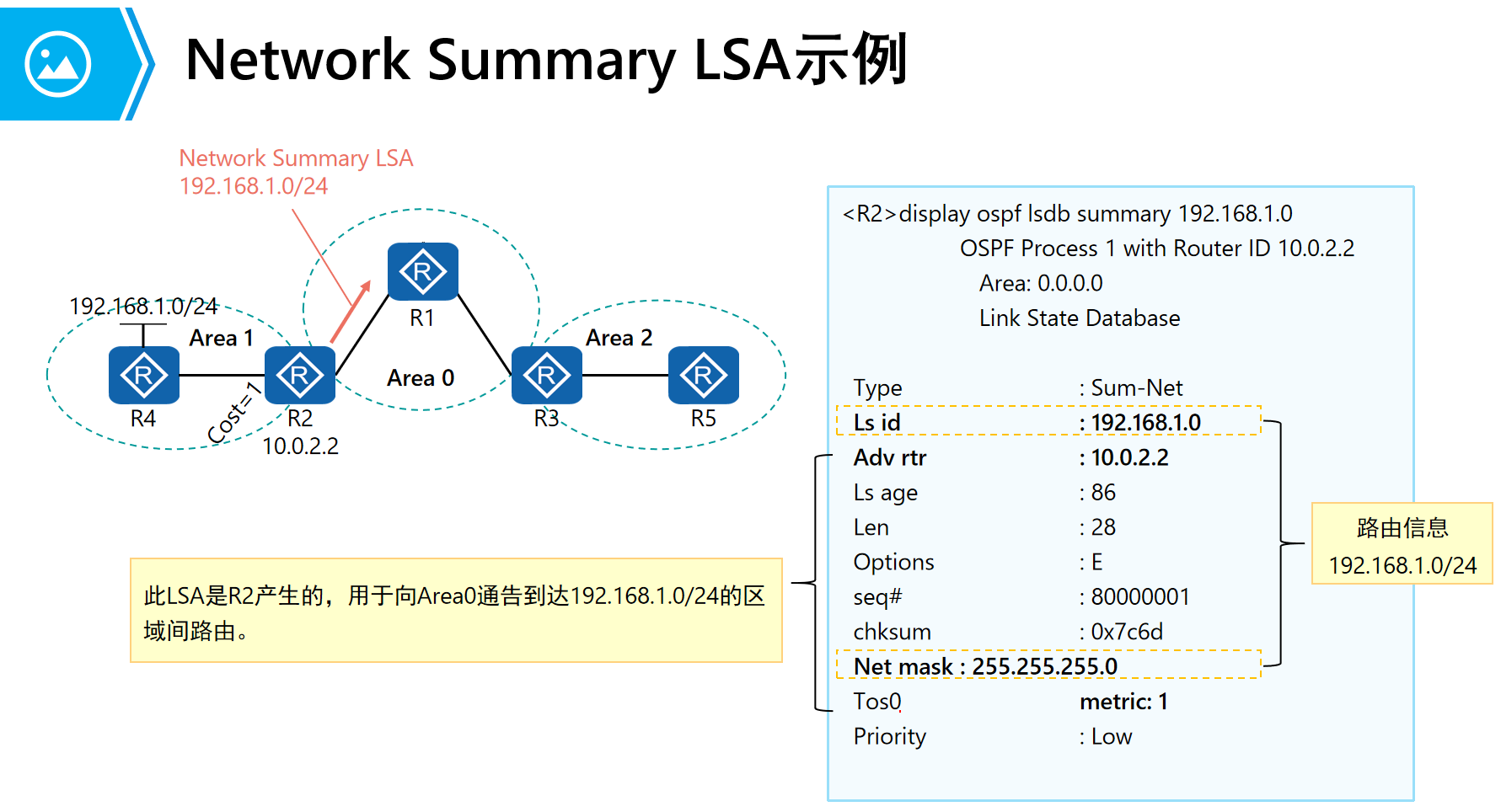 【ospf的三类LSA sum-net】（真假ABR、区域间防环机制、vlink）_3类lsa-CSDN博客