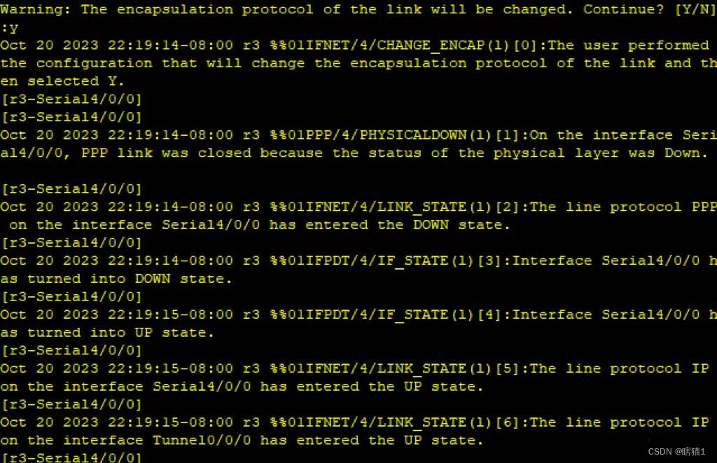 DSVPN利用shortcut方式配置-CSDN博客