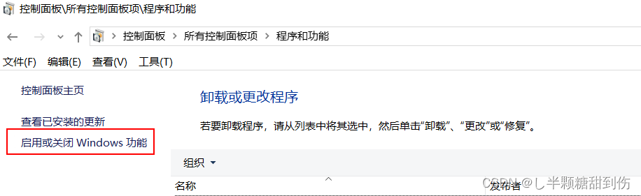 windows10系统开启iis功能-CSDN博客